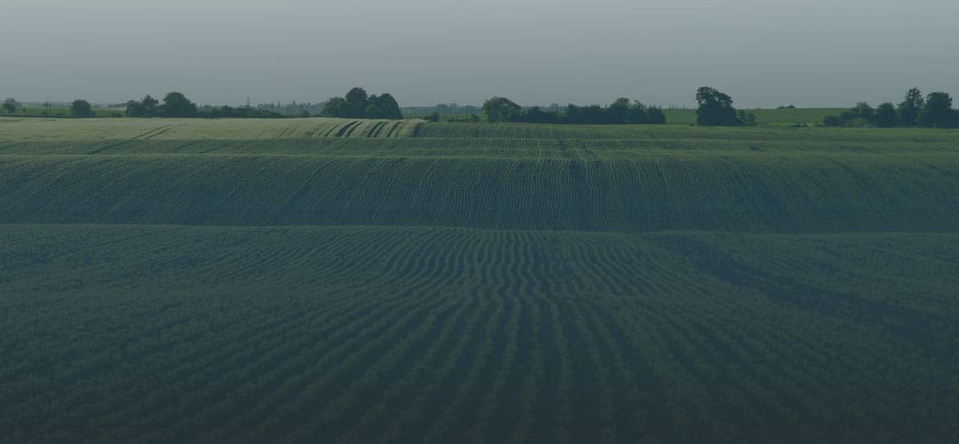 Webinar: Adapt-N & FieldAlytics - Ever.Ag